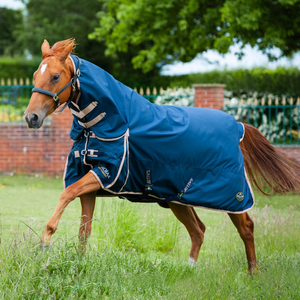 TROJAN 100g Combo Turnout – Quantock Country Store